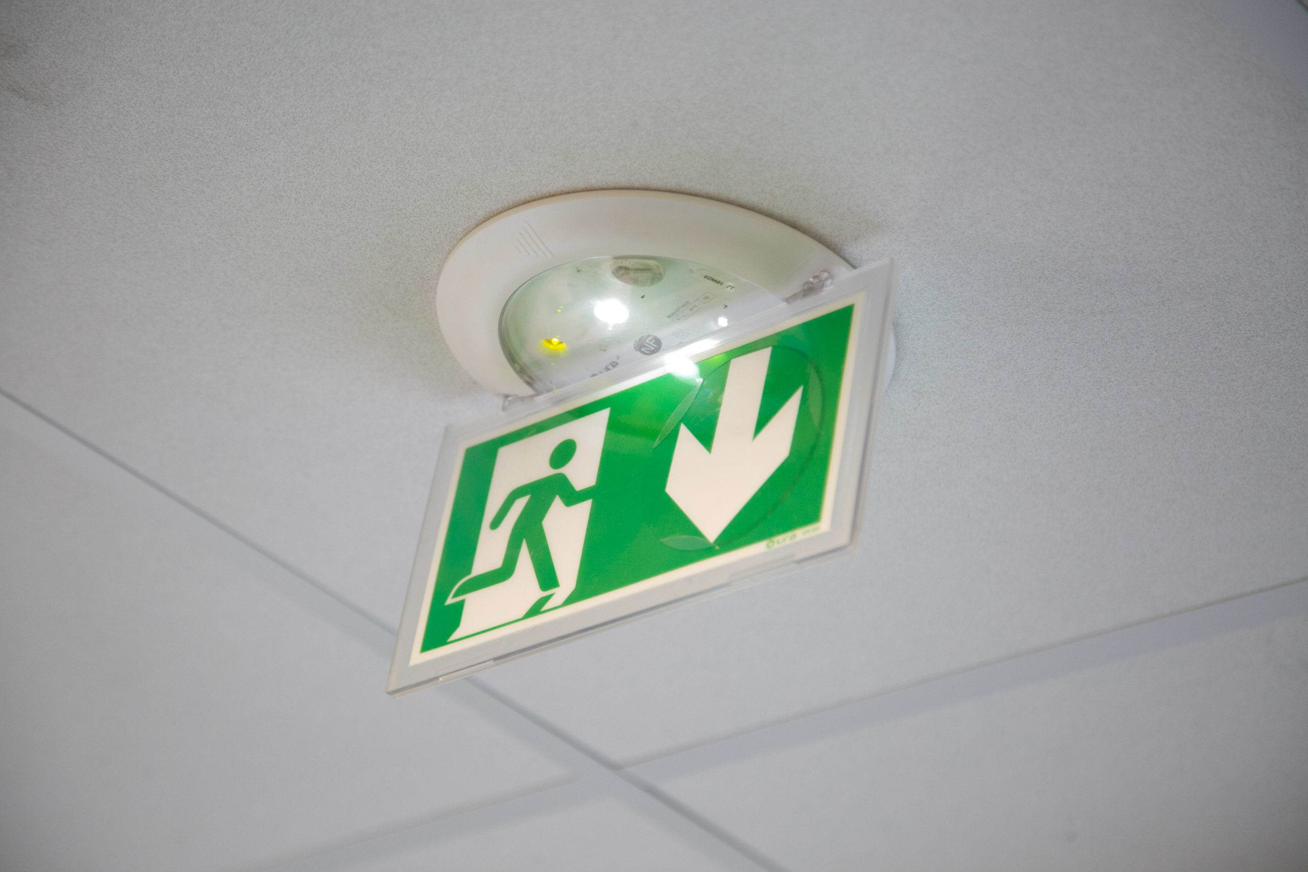 Obligations de Formation de l'Employeur - CECYS